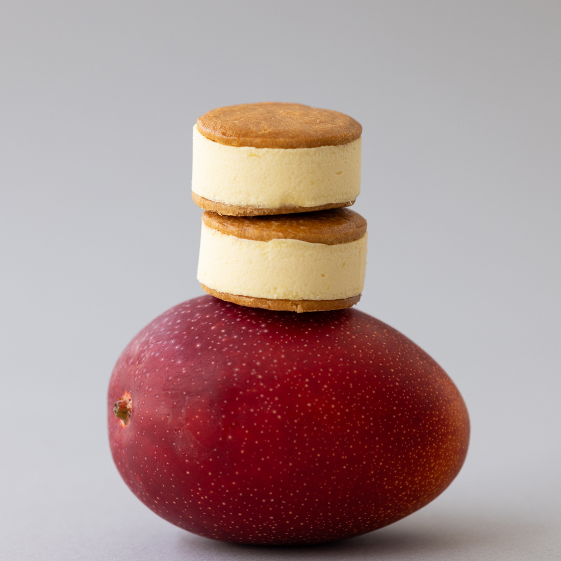 フェルム ラ・テール美瑛 – laterre-online